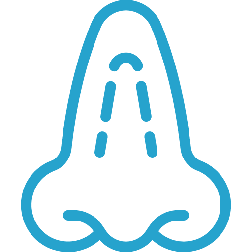 Sinusotomía: Beneficios Y Proceso Explicados